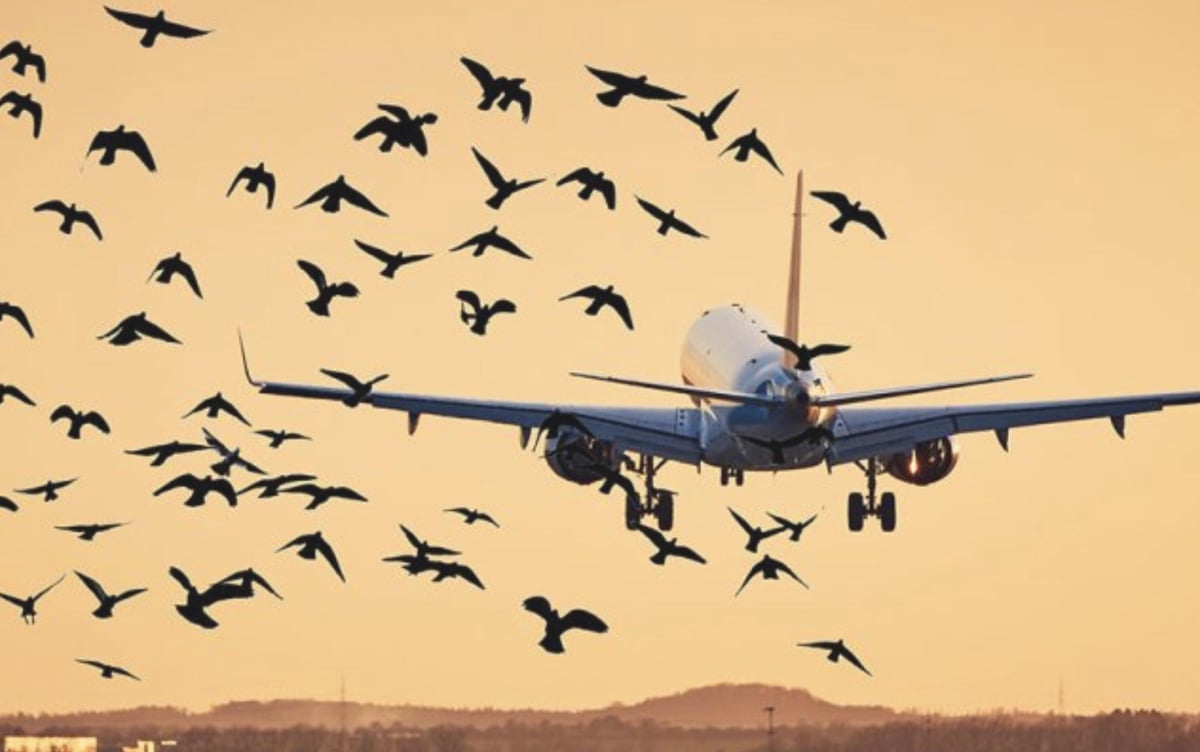 Signia Adds Precise Flight to Aerospace Manufacturing Family | Aviation ...