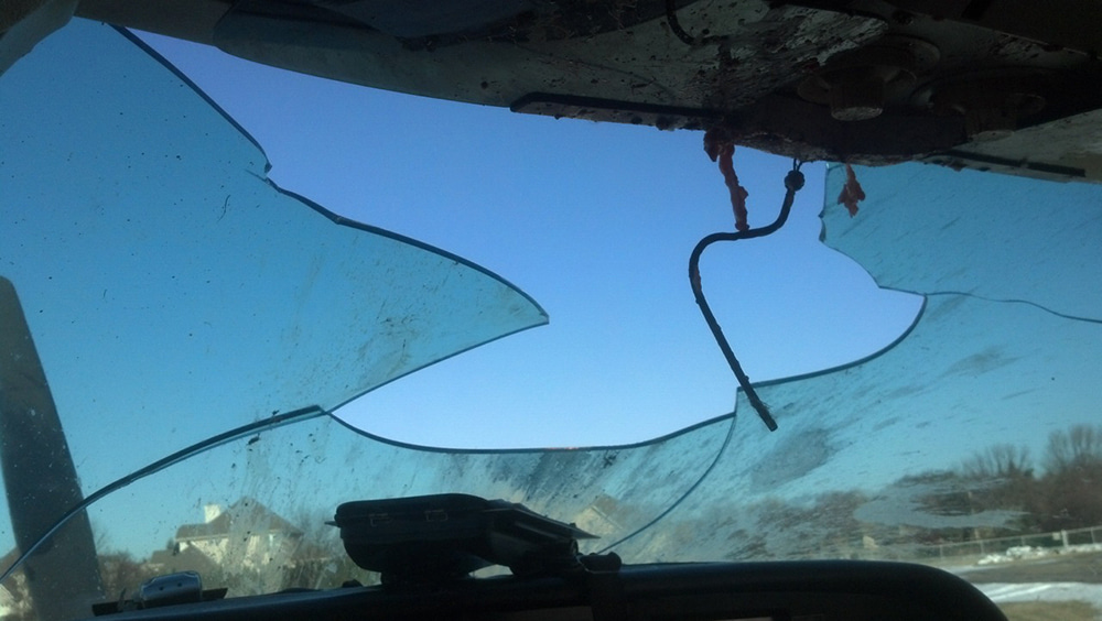 Bird Strike Caught on Camera | Aviation International News