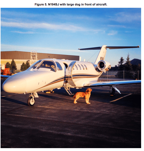 AIN Blog: Risky Business (Animals in Airplanes) | Aviation ...