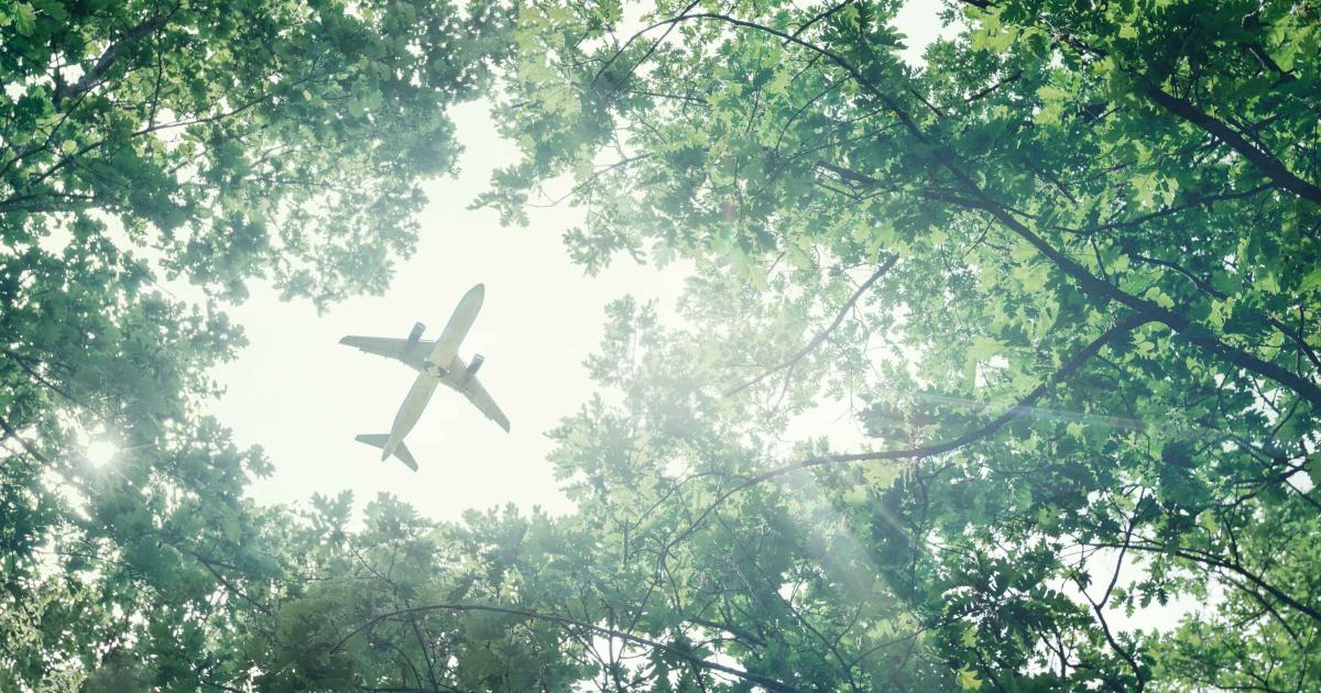 Fueling the Future: AEG Fuels' Journey to Sustainable Aviation ...