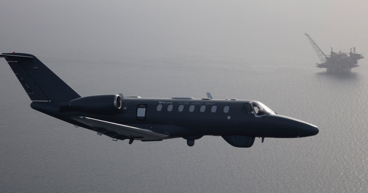 Bird Aerosystems Launches Environmental Monitoring System | Aviation ...